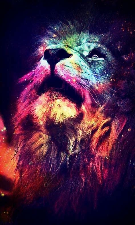 Galaxy Animals Wallpaper