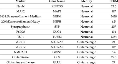 Expression Of Excitatory Neuronal Markers In Ipsc Derived Neurons