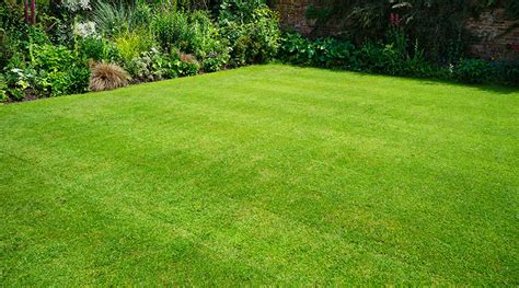 How To Create And Maintain The Perfect Lawn How To Guides