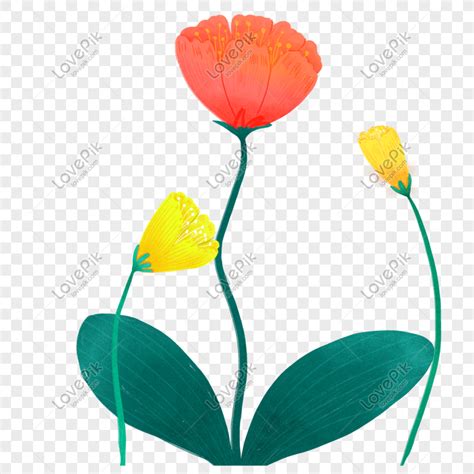 아름다운 수채화 꽃 요소 Png 일러스트 무료 다운로드 Lovepik