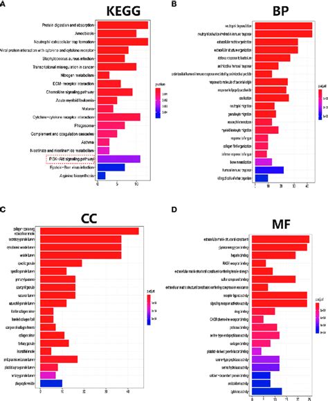 Pathway And Biofunctional Enrichment Analyses A Kegg Pathway