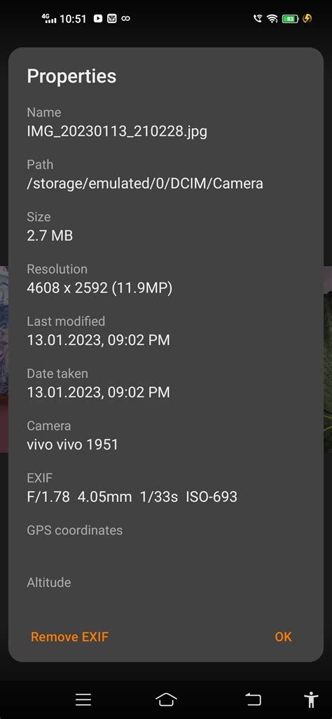 Bug Screenshots Appear To Be Taken In The Future In Timeline · Issue