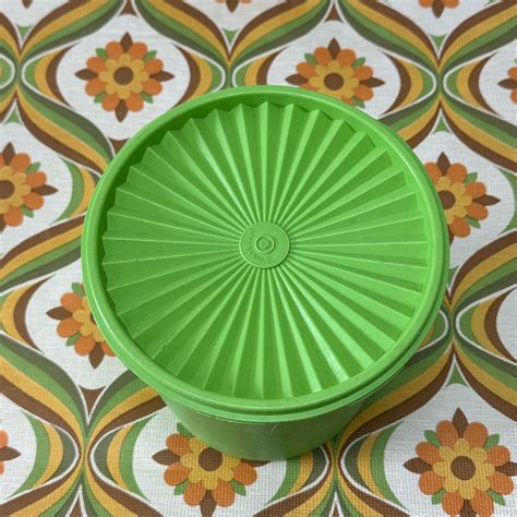 Extra Large Tupperware Container Green Pink Peacock