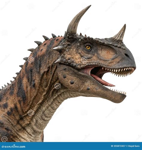 Head Of The Dinosaur Named Carnotaurus Isolated On White Background