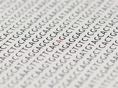 Extracting Reads For A Single Chromosome From Bam Sam File With Samtools Lambda Function