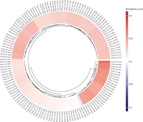 Single Cell Sequencing Analysis Of Glioma And Meningioma Sample A B Download Scientific