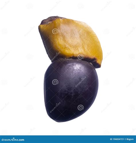 Close Up Black Seed Of Afzelia Doussie Or Makha Mong Tree Isolated On