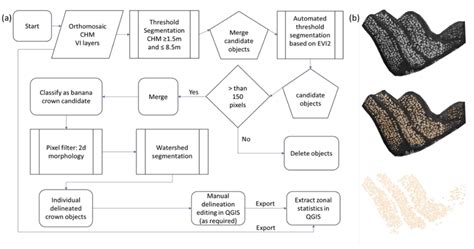 a overview of the main components of the crown delineation workflow