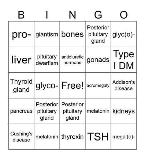 Endocrine Test Review Bingo Card