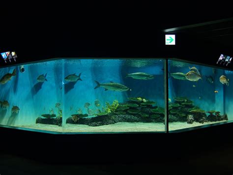 Niigata City Aquarium Marinepia Nihonkai Sea Of Japan Hokuriku X