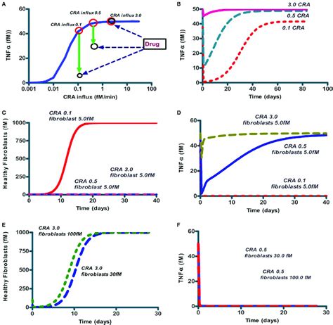 The Effect On Steady State Tnf Levels And Number Of Healthy Download Scientific Diagram