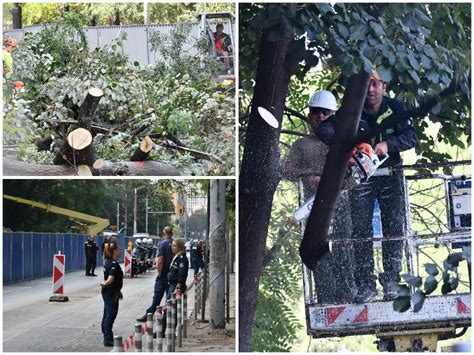 МРЕЖАТА ИЗБУХНА срещу Васил Терзиев и Борис Бонев заради сечта на ул Опълченска ПП ДБ са