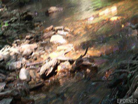 Naughty Blonde Shows Her Nice Boobs Eporner