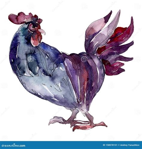 Sticker Cock Cartoon Rooster Vector Illustration