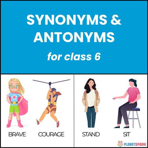 Class 6 Grammar Worksheet On Determiners Planetspark