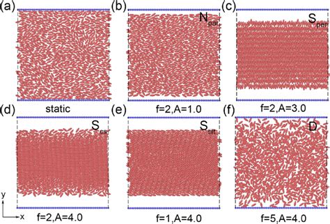 snapshots of the characteristic patterns of the confined ellipsoids