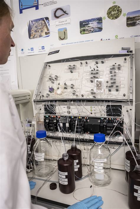 Simulating Natural Environments Coastal Carbon