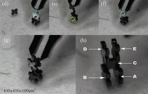 Sequence Of Images Captured During The Microassembly Process Download Scientific Diagram