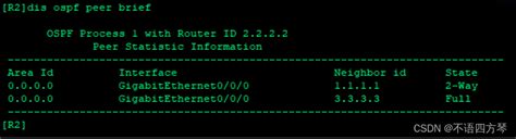 Ospf实验 Csdn博客