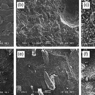 SEM Photo Micrographs Of A PVC LDPE C B PVC LDPE