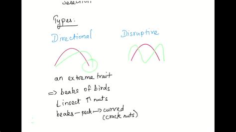 solved compare and contrast the three modes of selection we reviewed