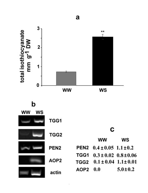 Total Chlorophyll A Total B δ C γ Tocopherol D Trans Hexenal