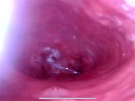 Pulled Down My Gullet Female Body Vore