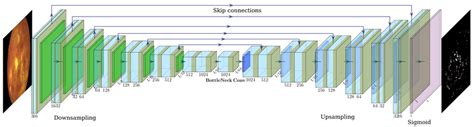 U Net For Haemorrhage And Hard Exudates Segmentation Latex Source