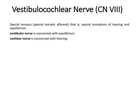 Vestibulocochlear Nerve Viii