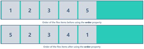 Css Flex What Every Developer Should Know