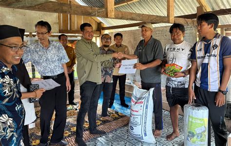 Pengembangan Budidaya Cabe Rawit Dalam Rangka Pengendalian Inflasi