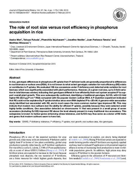 Pdf The Role Of Root Size Versus Root Efficiency In Phosphorus Acquisition In Rice