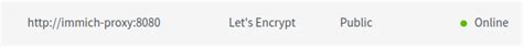 [feature] reverse proxy documentation and examples npm etc · immich
