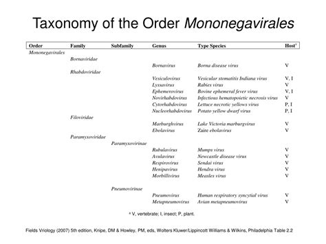 Ppt Virus Structure Classification And Replication Powerpoint Presentation Id 511172