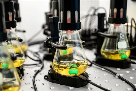 Dissolved Oxygen Do Monitoring In Microbial Bioprocessing Sbi
