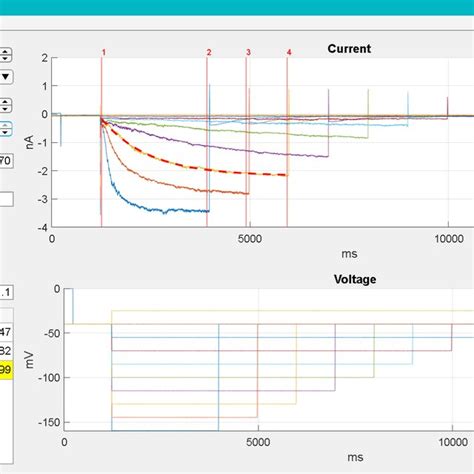 example of analysis and fitting performed through the tool exponential