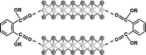 Influence Of Internal Donors On The Performance And Structure Of Mgcl2 Supported Titanium