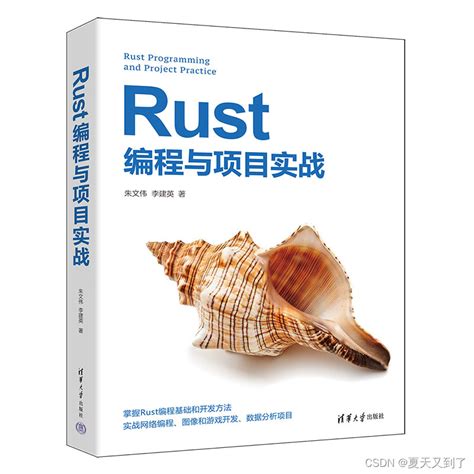 Rust编程语言的特点及其适合做什么rust语言的特点 Csdn博客