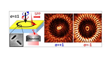 Directional And Singular Surface Plasmon Generation In Chiral And Achiral Nanostructures