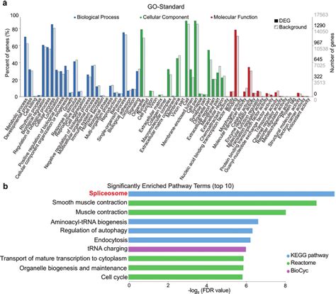 Enriched Go Terms And Pathways Based On Degs A Distribution Of 64 Go