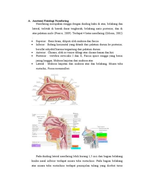 Woc Ca Nasofaring Pdf