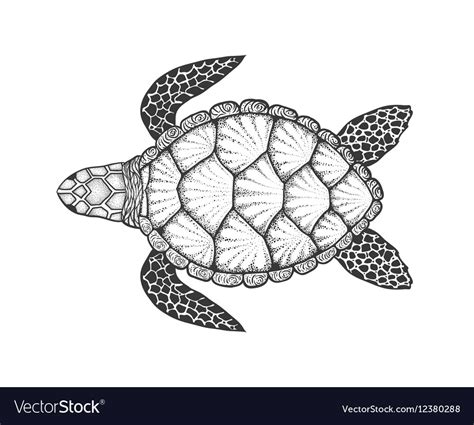 Sea Turtle In Line Art Style Hand Drawn Design Vector Image