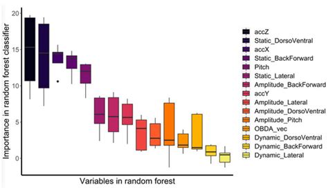 Analysis Of Accelerometer Data Using Random Forest Models To Classify