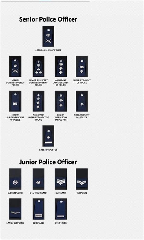 [rare] Historical Spf Rank Badges Hobbies And Toys Memorabilia And Collectibles Vintage