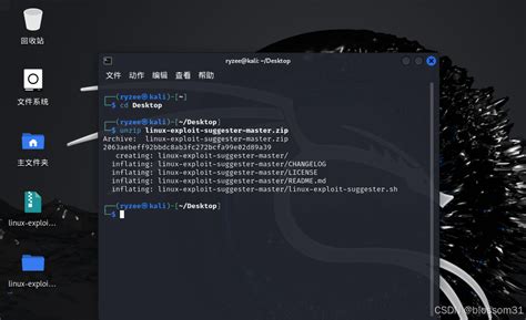 day10 linux提权 kali 内核提权 csdn博客