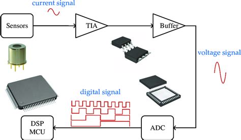 The Architecture Of The Weak Current Signal Detection System