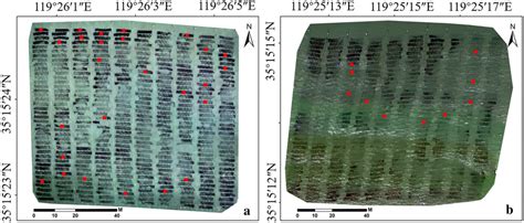 Study Sites With RGB Images Of Plot A B And C Download Scientific Diagram