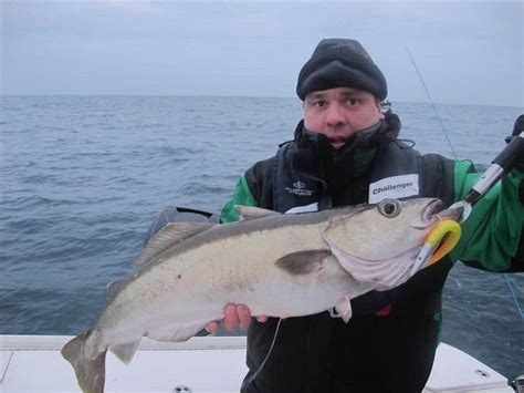 Magic Eel Makaira Gros Lieus Jaunes Sakura Fishing