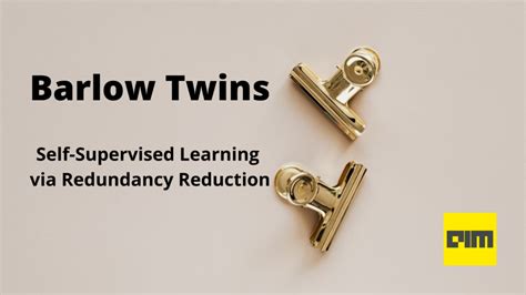 A Guide To Barlow Twins Self Supervised Learning Via Redundancy Reduction