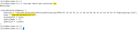 using the vim cmd tool dpc virtual tips